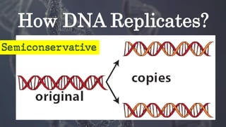 DNA Replication and Protein Synthesis.pdf