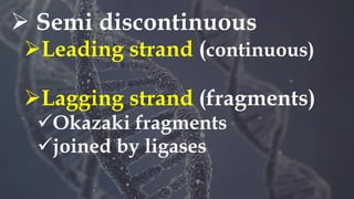 DNA Replication and Protein Synthesis.pdf