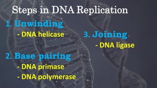 DNA Replication and Protein Synthesis.pdf