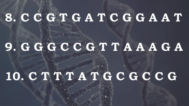 DNA Replication and Protein Synthesis.pdf