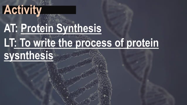 DNA Replication and Protein Synthesis.pdf