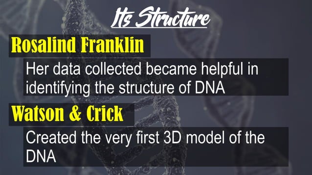 DNA Replication and Protein Synthesis.pdf