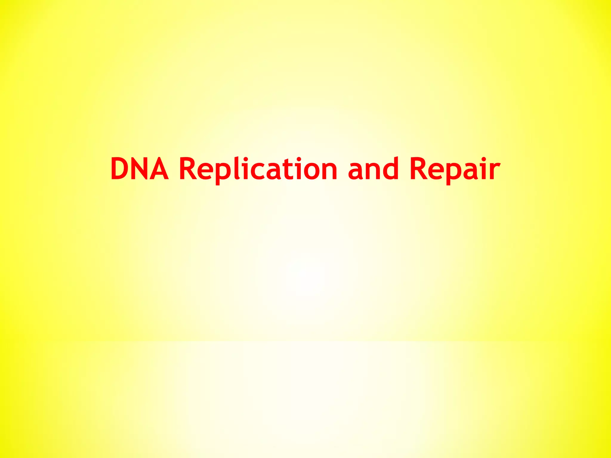 DNA replication and repair | PPT