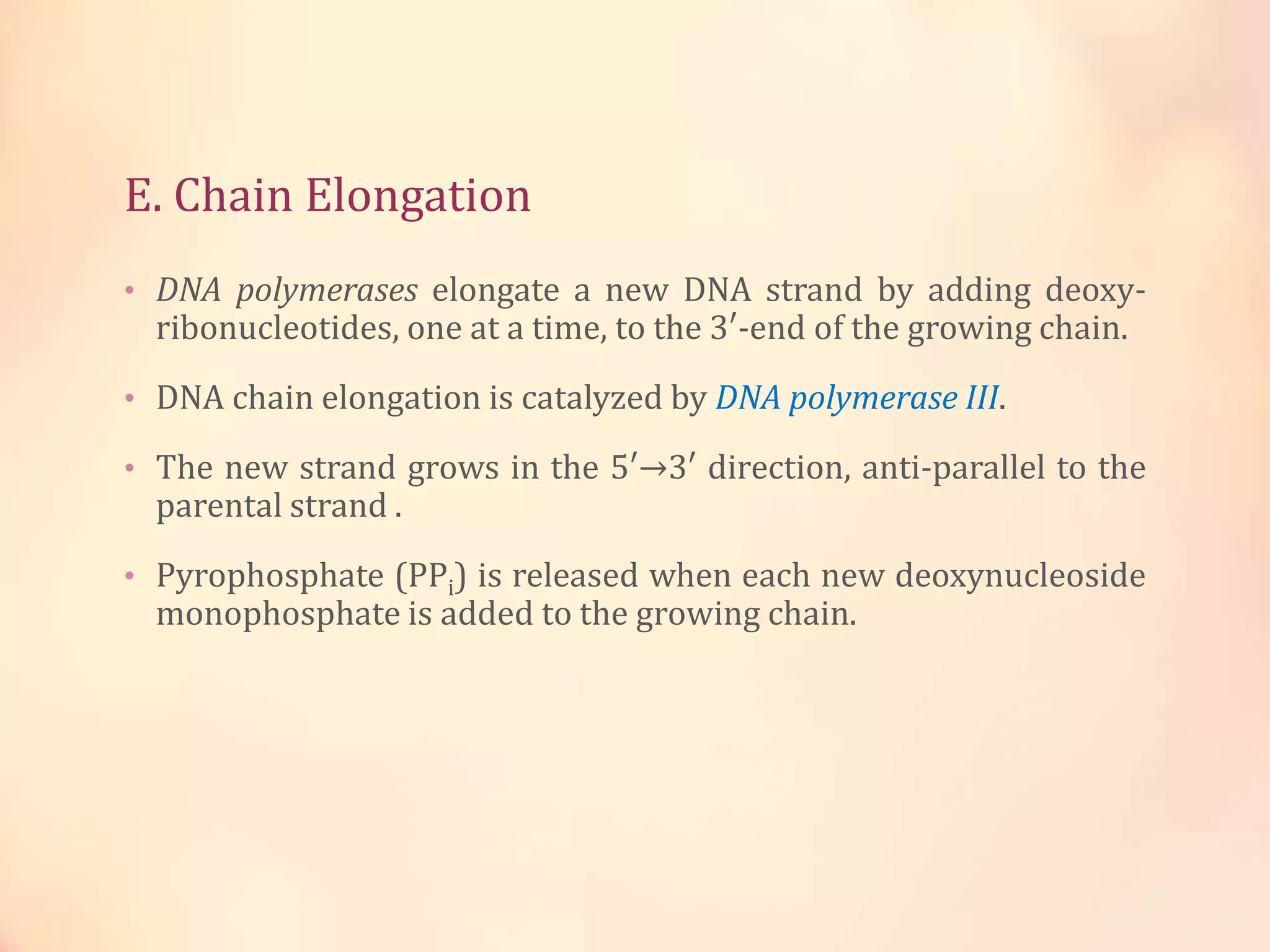 DNA replication and repair | PPTX