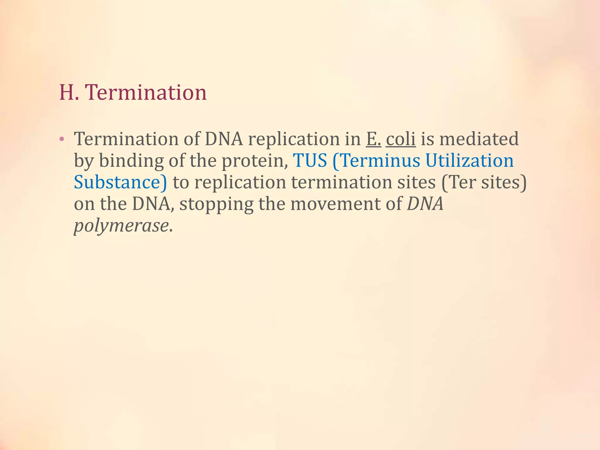 DNA replication and repair | PPTX