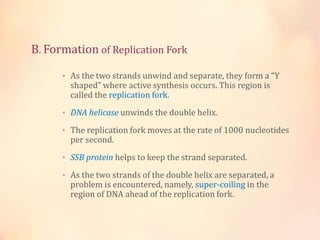 DNA replication and repair | PPTX