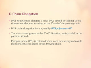 DNA replication and repair | PPTX