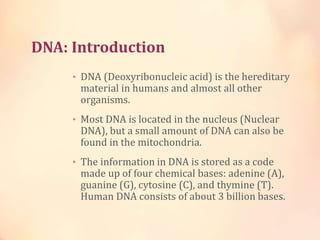 DNA replication and repair | PPTX