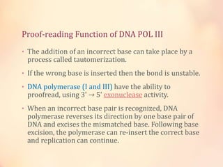 DNA replication and repair | PPTX