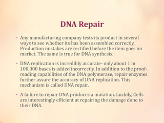 DNA replication and repair | PPTX