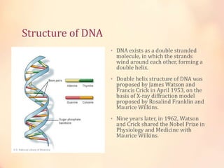 DNA replication and repair | PPTX