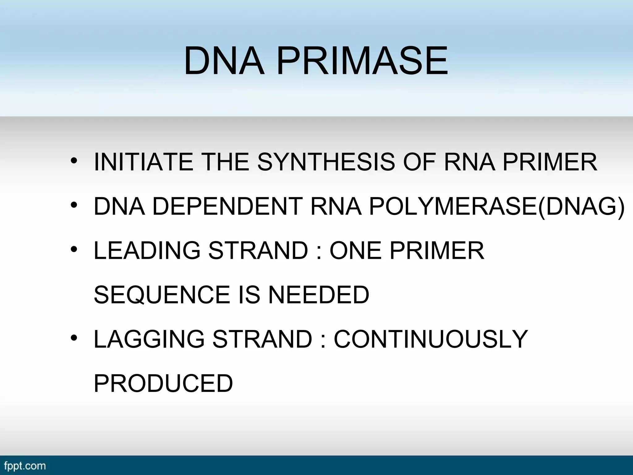 Dna replication and repair | PPT