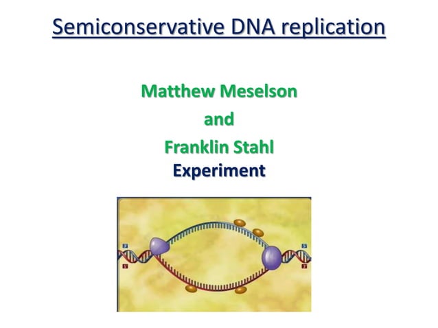 DNA replication and transcription unit | PPTX
