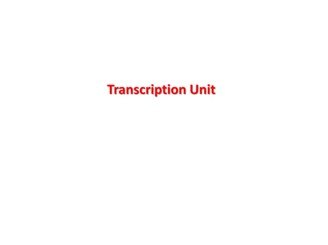 DNA replication and transcription unit | PPTX