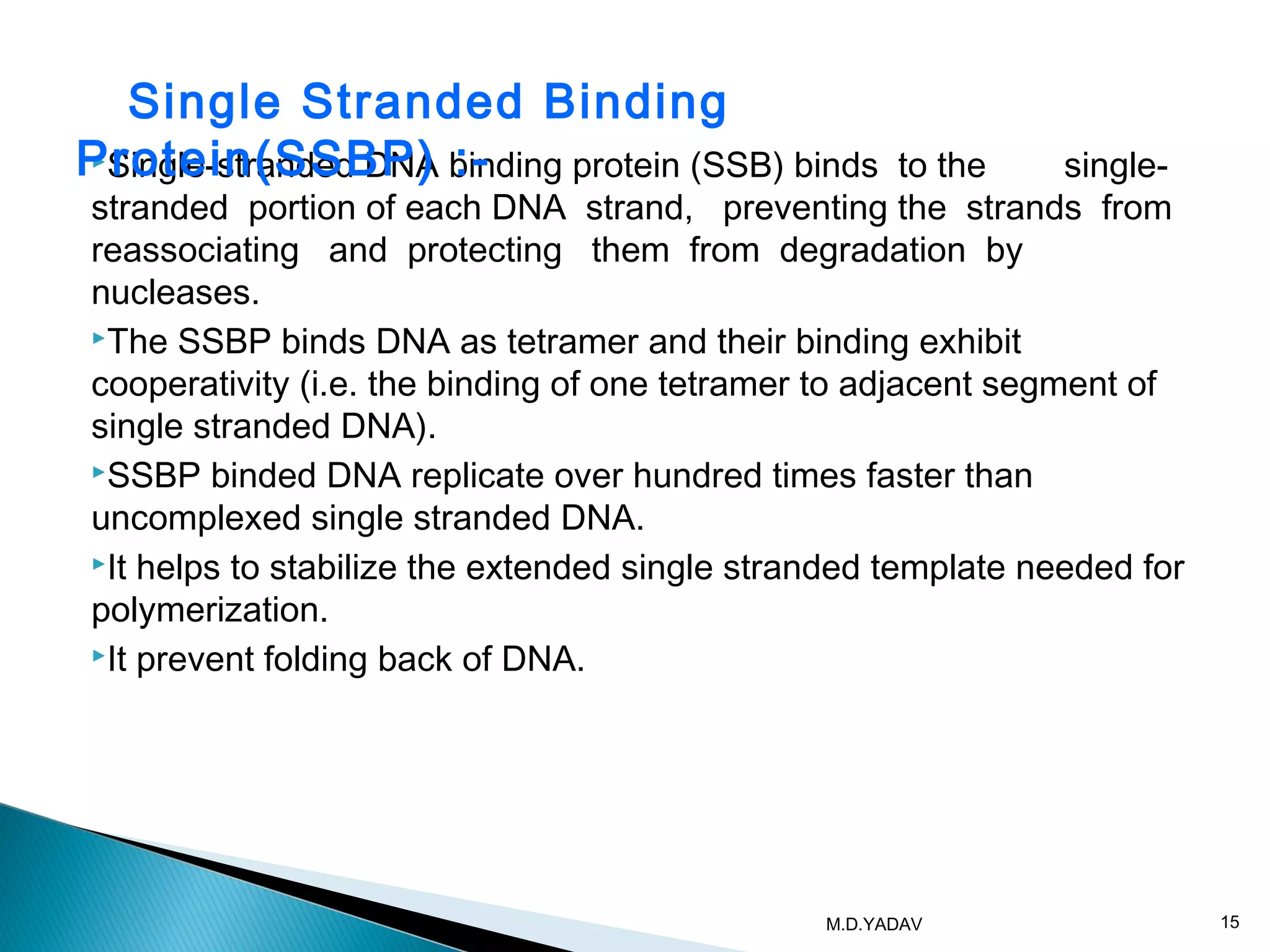 DNA replication and types of DNA | PPT