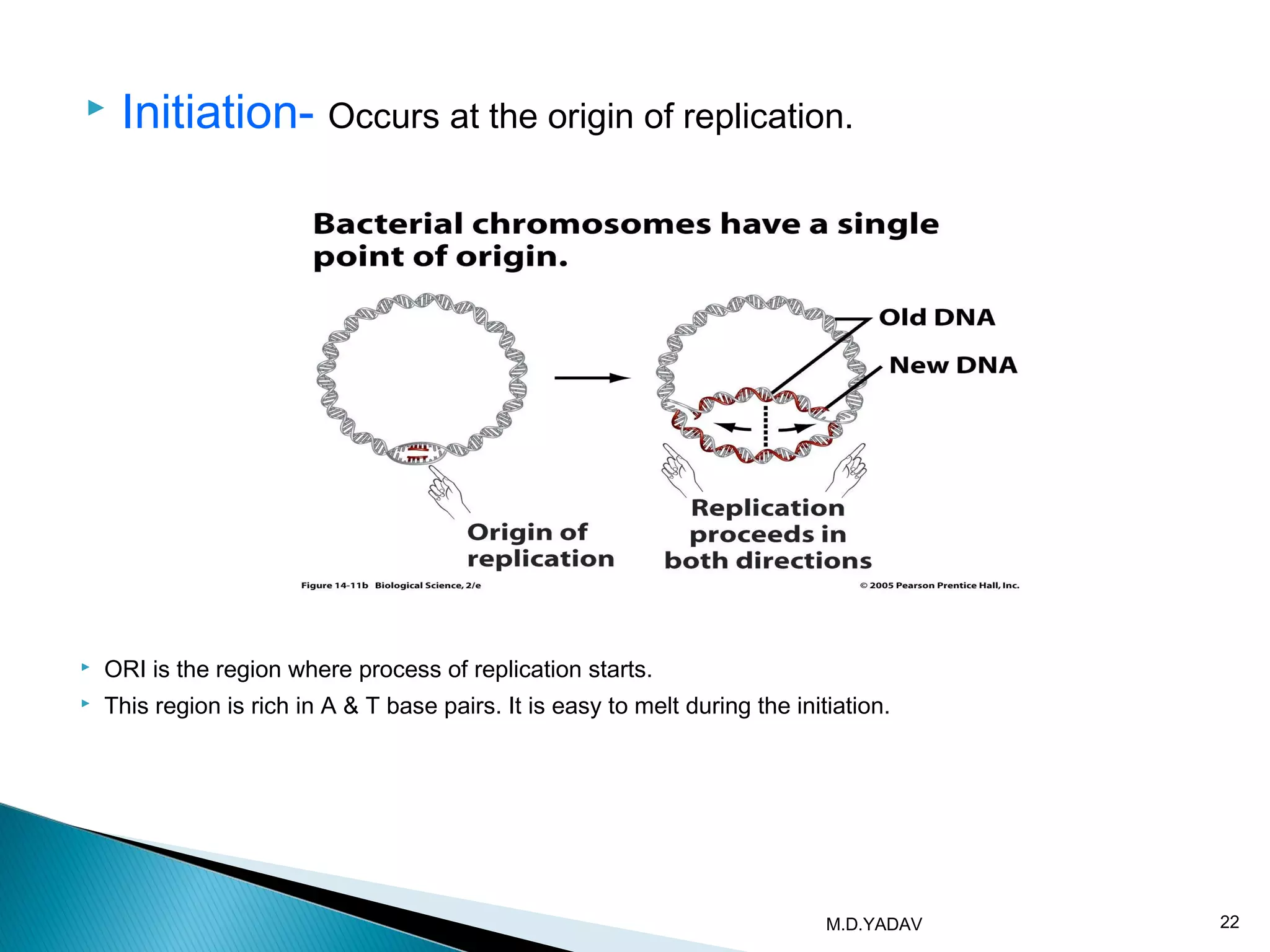 DNA replication and types of DNA | PPT