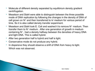 DNA replication and types of DNA | PPT