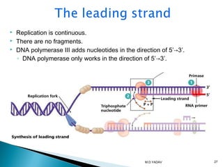 DNA replication and types of DNA | PPT