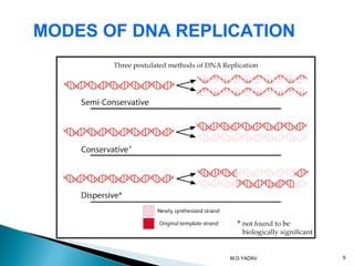 DNA replication and types of DNA | PPT
