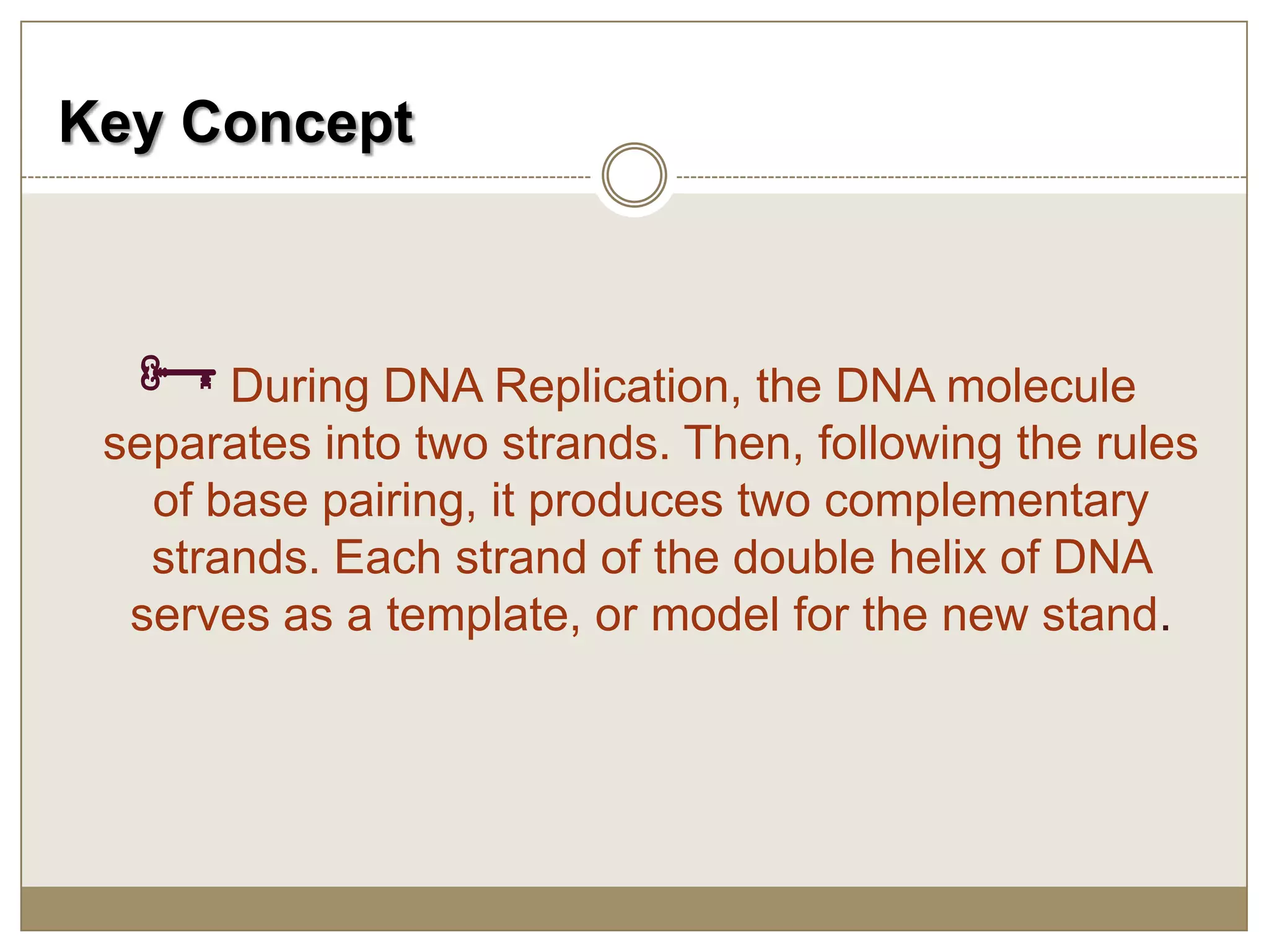 Dna replication bio ii | PPTX