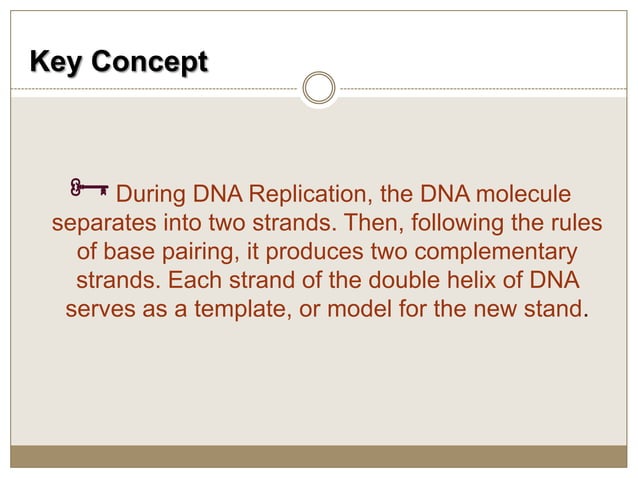 Dna replication bio ii | PPT