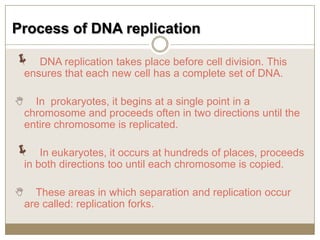 Dna replication bio ii | PPTX