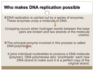 Dna replication bio ii | PPTX