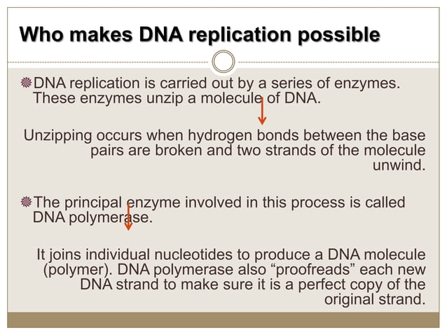 Dna replication bio ii | PPT