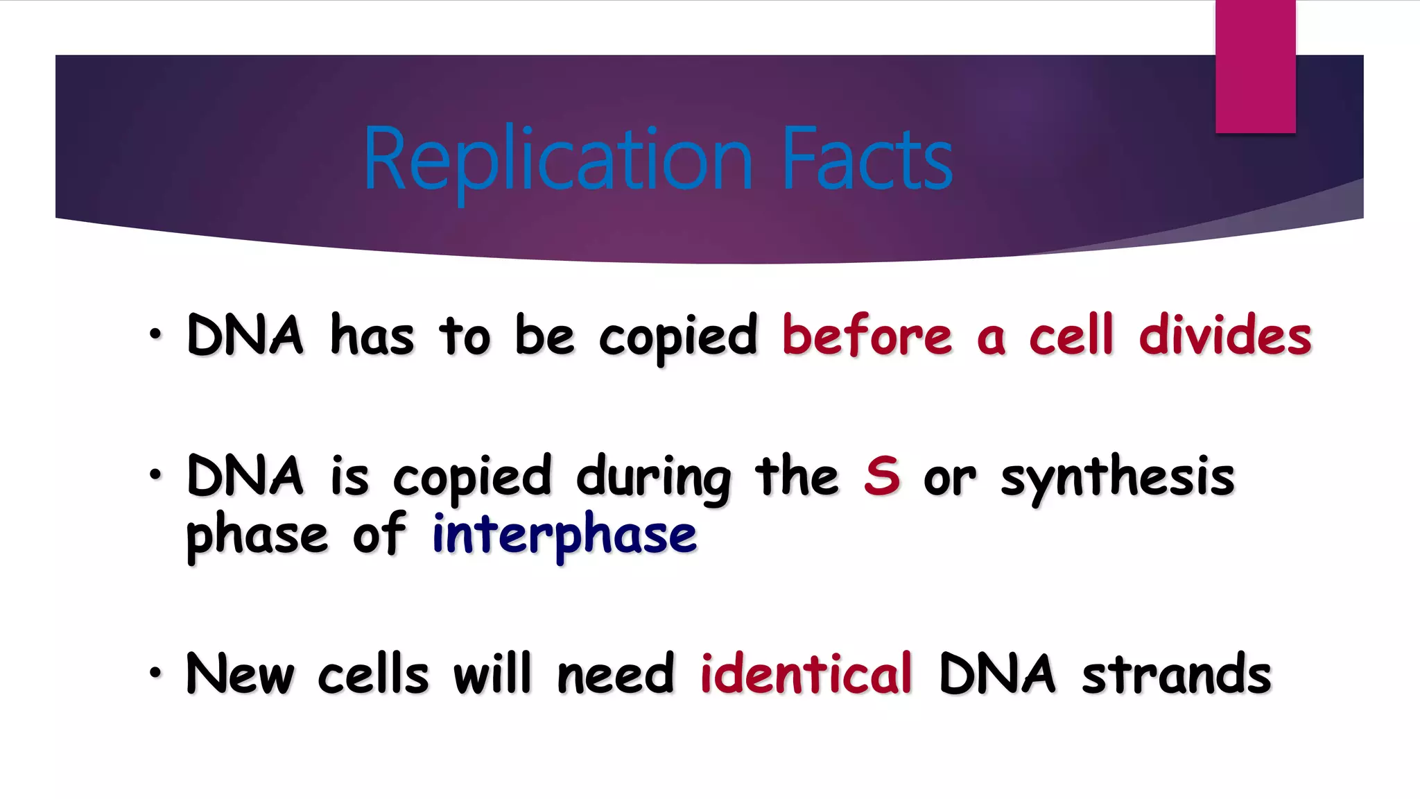 DNA Replication | PPTX
