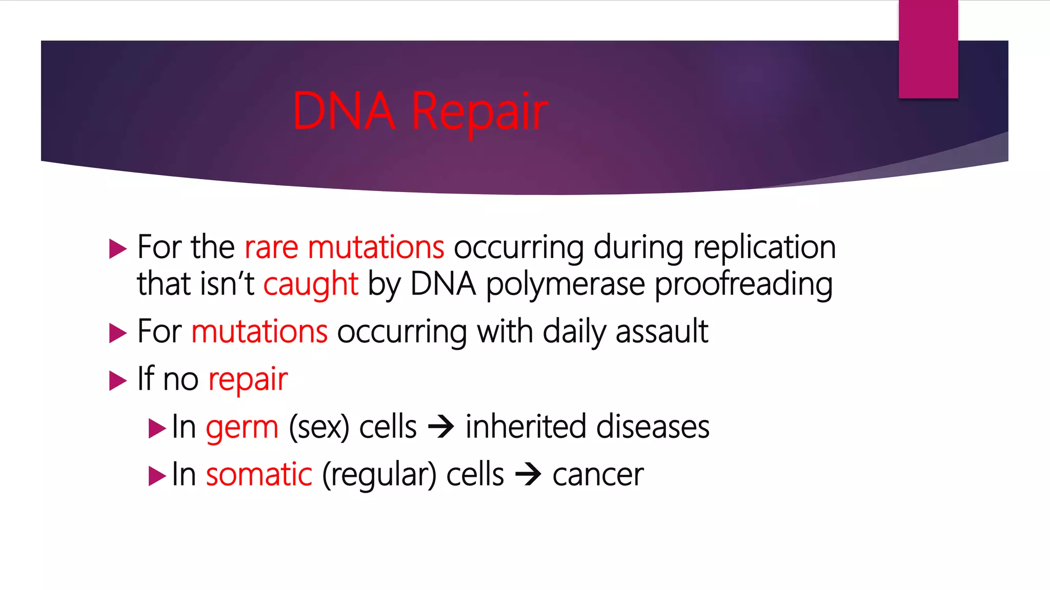 Dna Replication Pptx