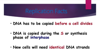 DNA Replication | PPTX