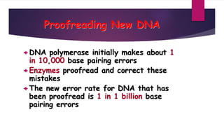 DNA Replication | PPTX
