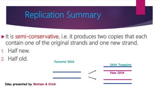 DNA Replication | PPTX