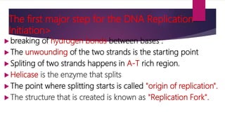 DNA Replication | PPTX