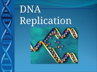 DNA_Replication cell division biology.pptx