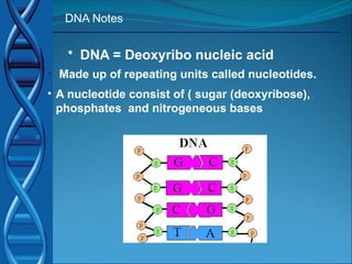 DNA_Replication cell division biology.pptx