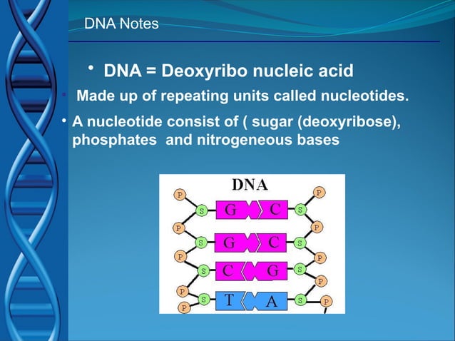 DNA_Replication cell division biology.pptx