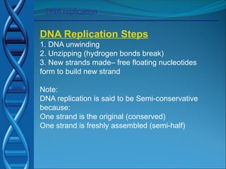 DNA_Replication cell division biology.pptx