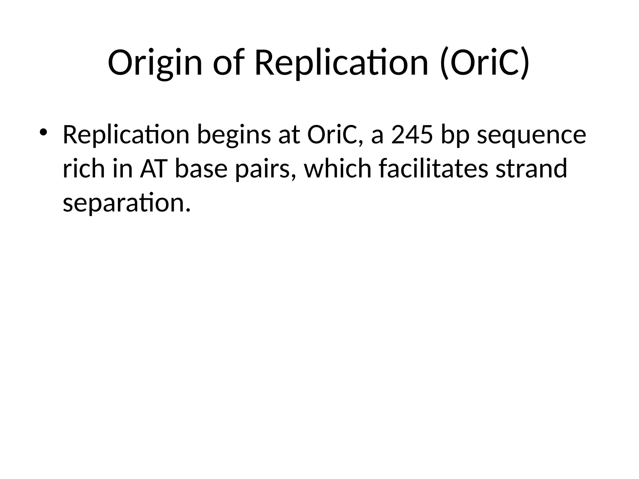 DNA_Replication_Ecoli_LightTheme444.pptx
