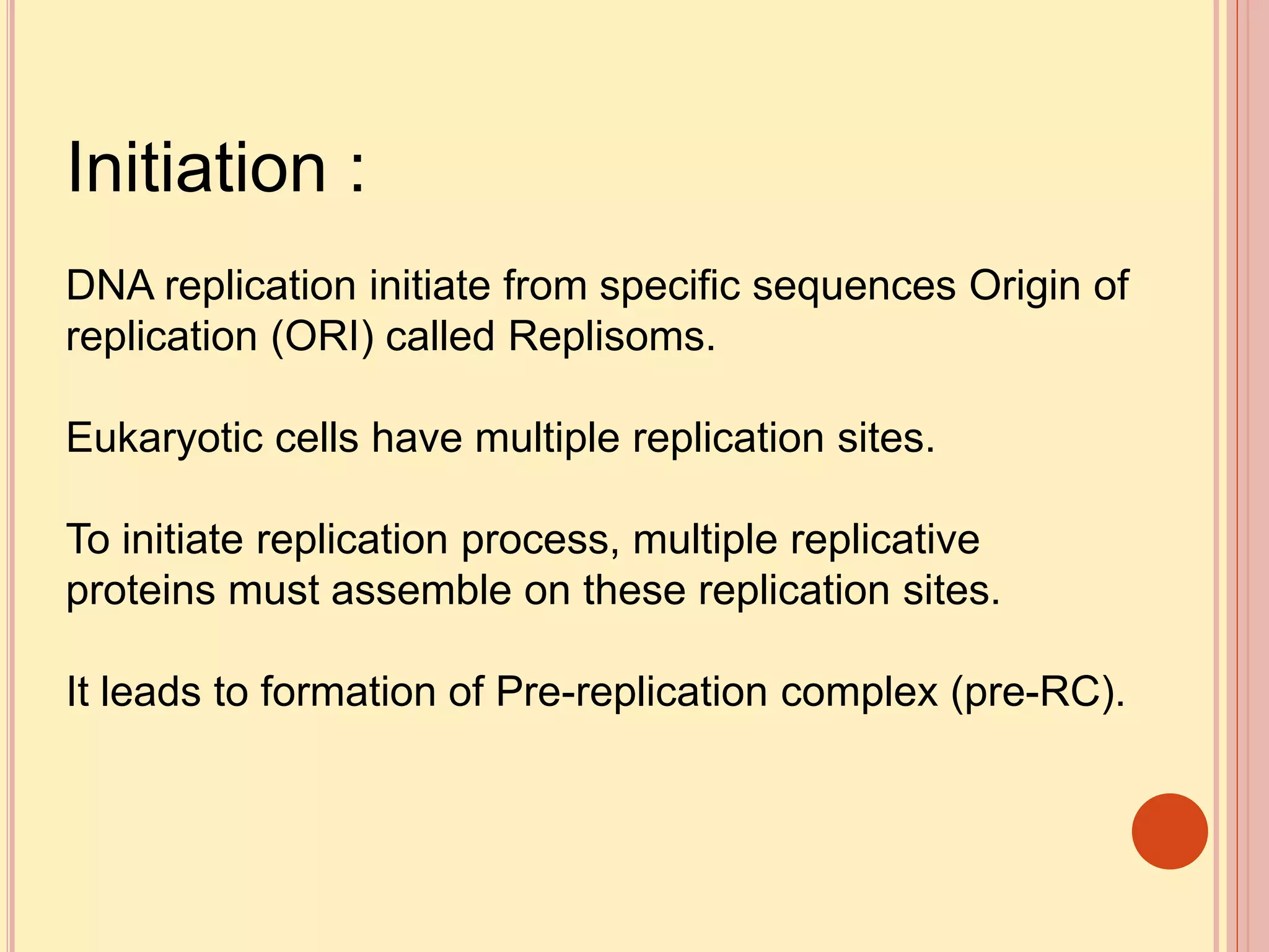 Dna replication eukaryotes | PPTX