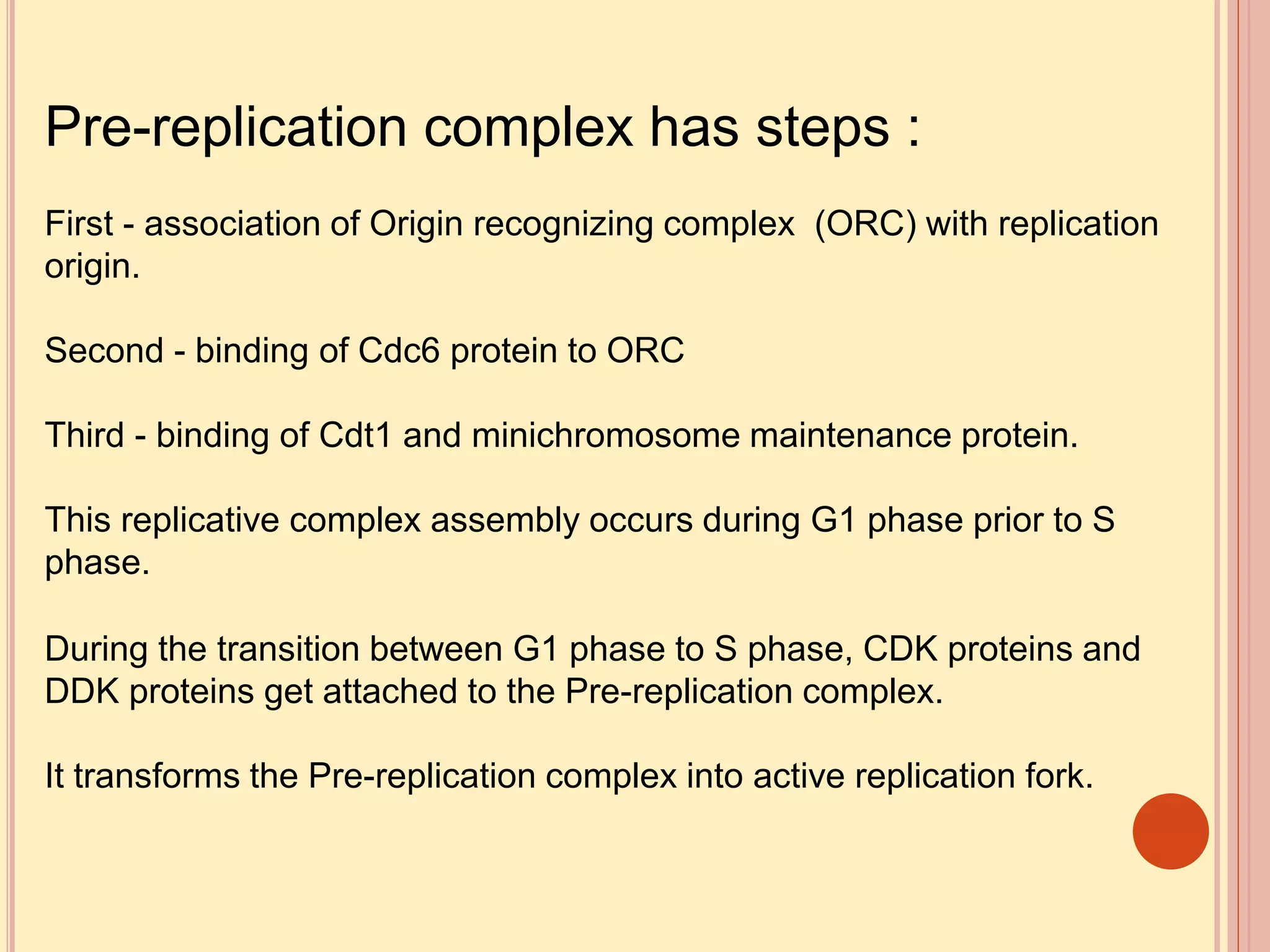 Dna replication eukaryotes | PPTX