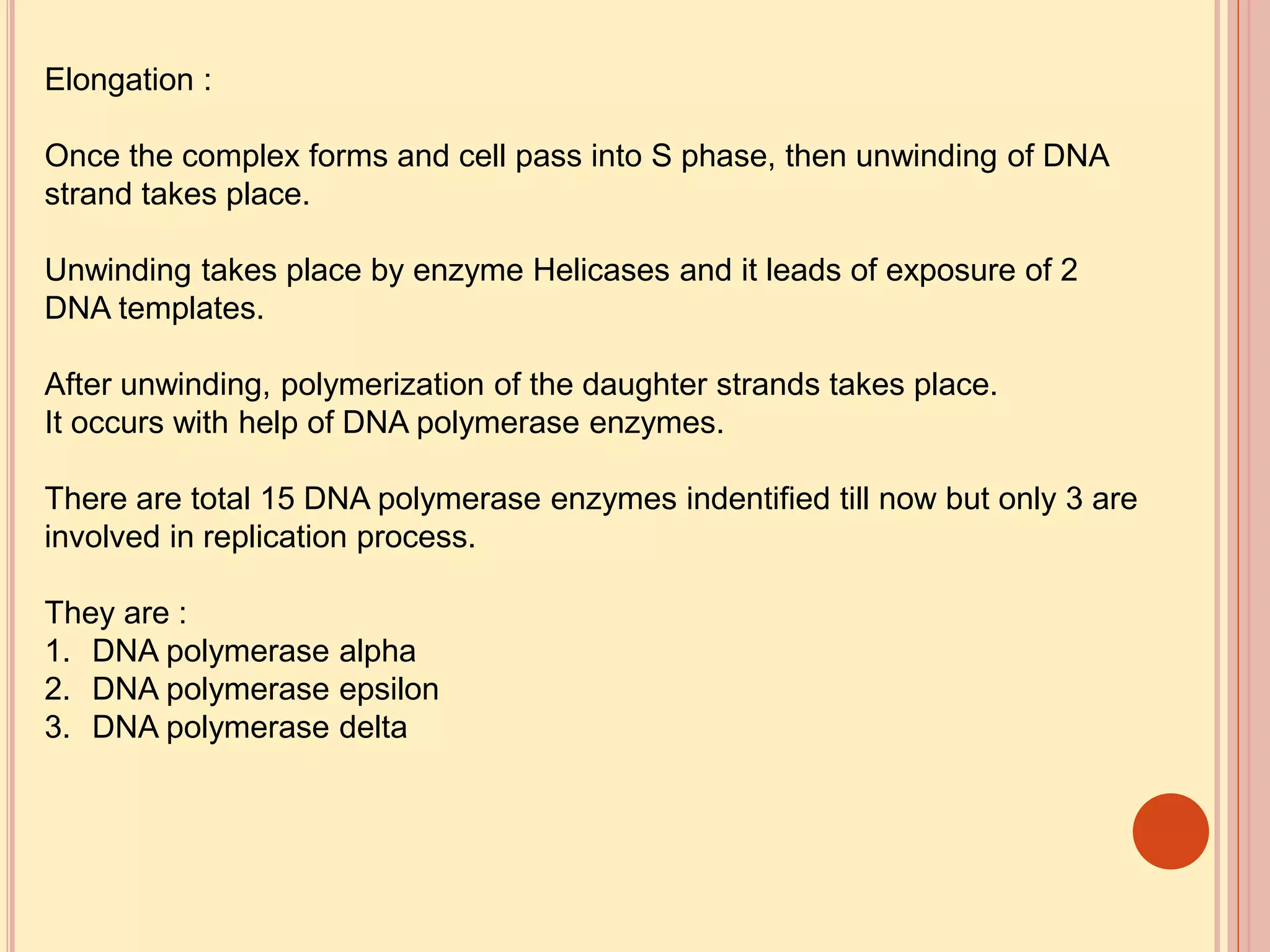Dna replication eukaryotes | PPTX