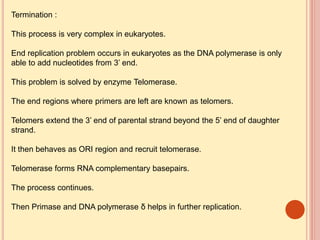 Dna replication eukaryotes | PPTX