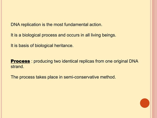 Dna Replication Eukaryotes Pptx