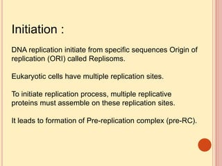 Dna replication eukaryotes | PPTX