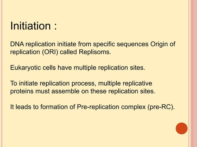 Dna Replication Eukaryotes Pptx