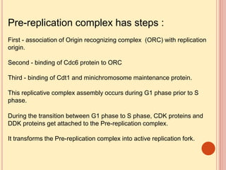 Dna replication eukaryotes | PPTX