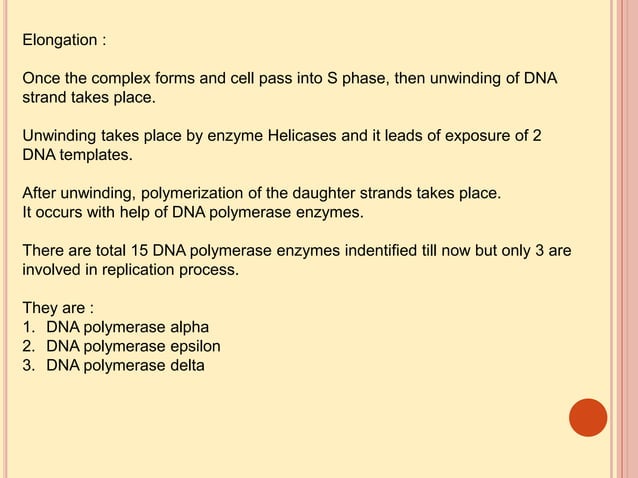 Dna Replication Eukaryotes Pptx
