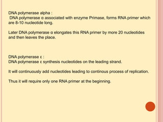 Dna replication eukaryotes | PPTX