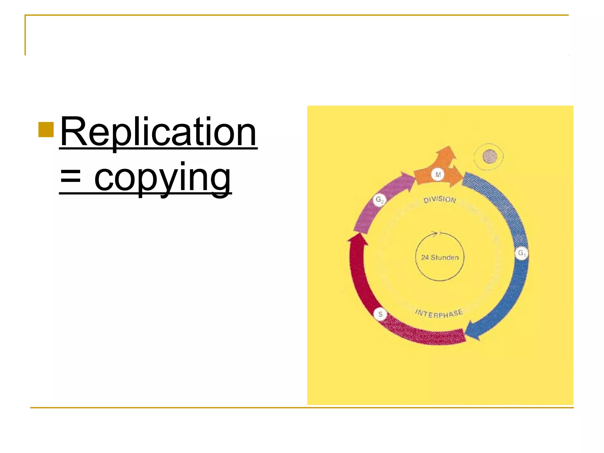 DNA structure, function, replication lesson | PPT